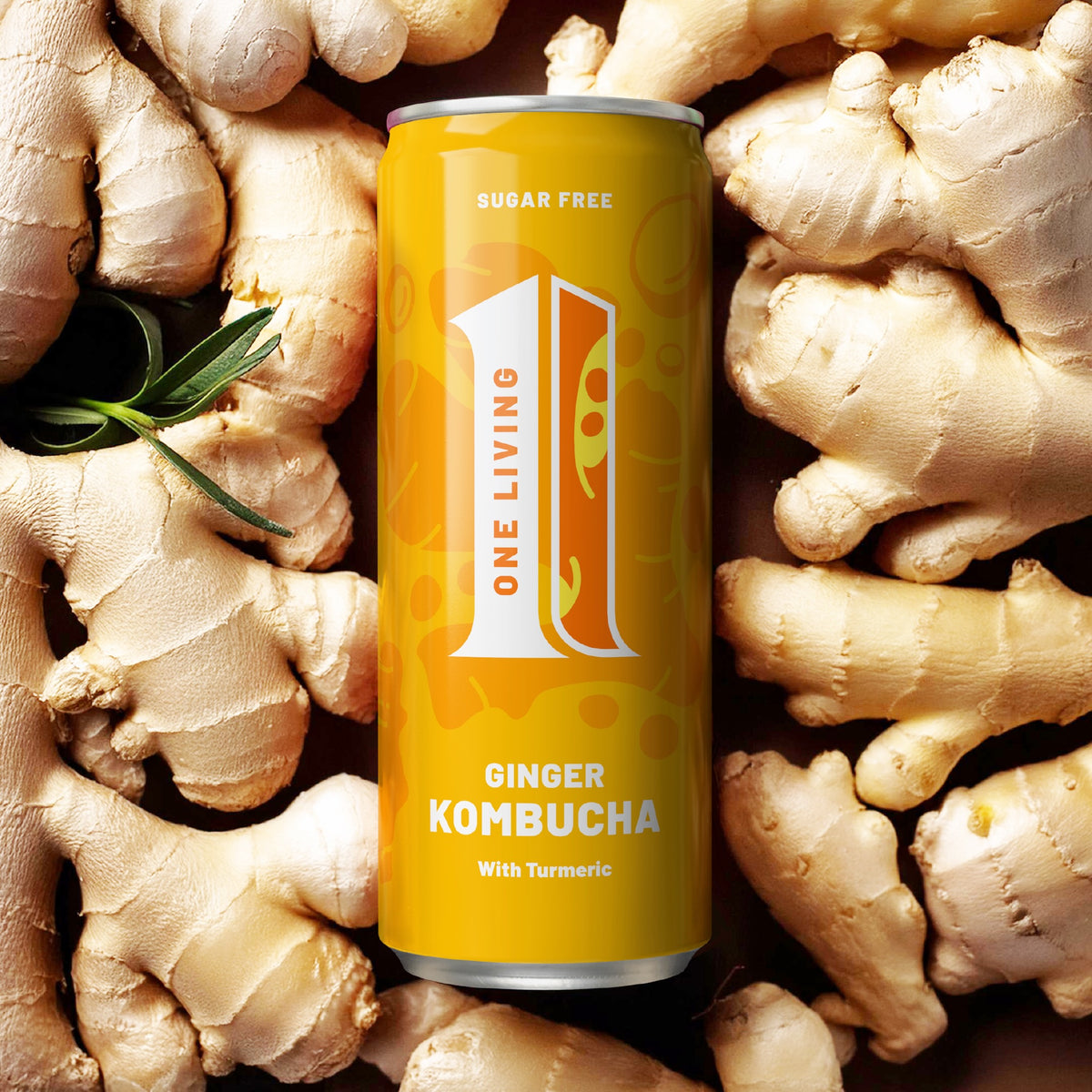 Buy Ginger Kombucha with Turmeric | One Living®