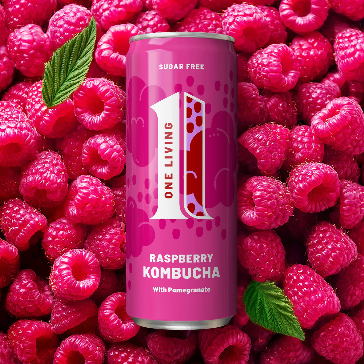 Raspberry & Pomegranate Kombucha Drinks | One Living®